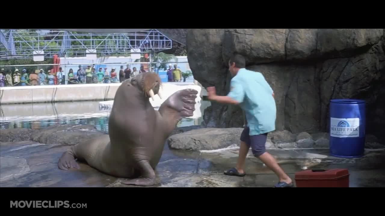 50 First Dates: High five buddy. Find clips on VLIPSY