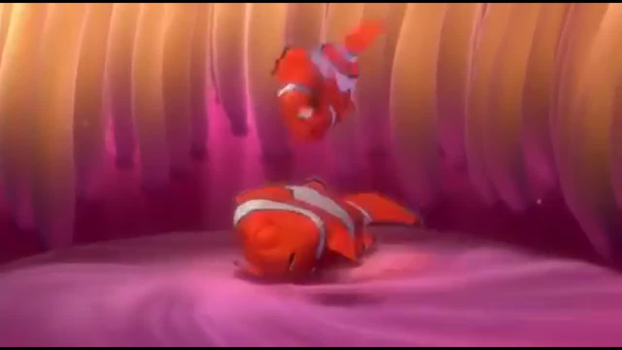 Finding Nemo - Wake up, wake up! First day of school. | Download HD ...