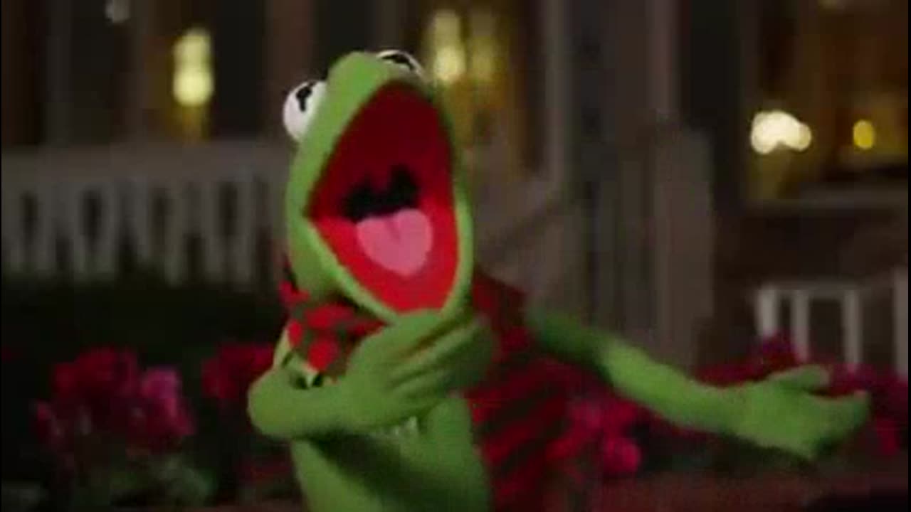 Kermit the Frog: Happy New Year! - Find clips on VLIPSY