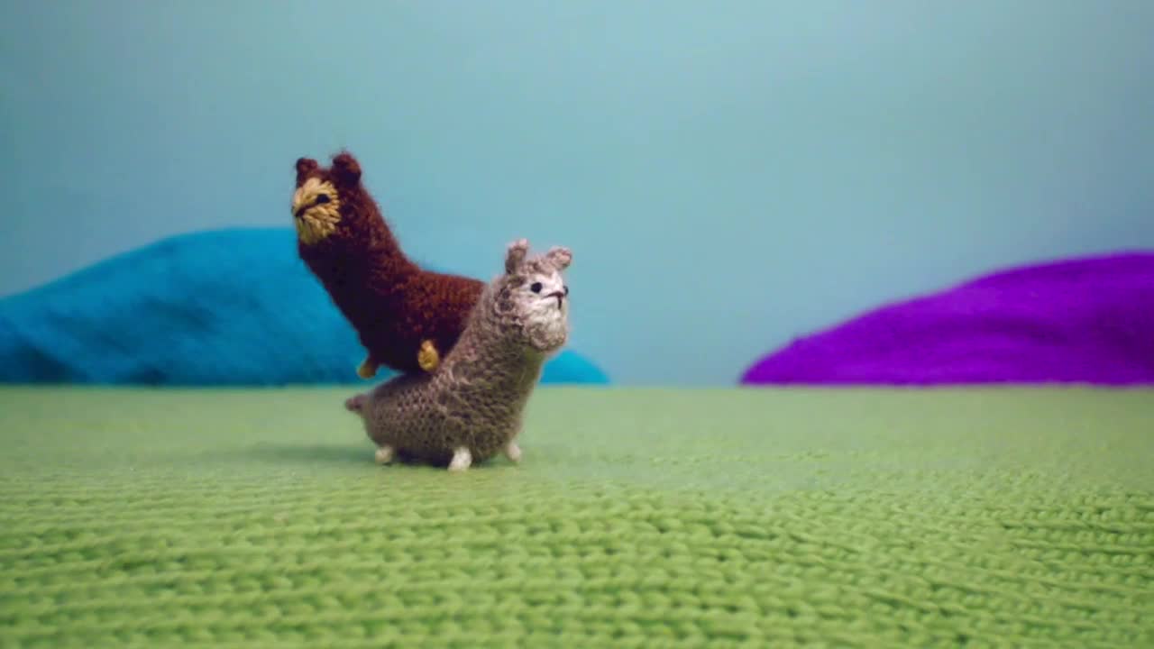 Alpaca Smacka: Friends. Find clips on VLIPSY