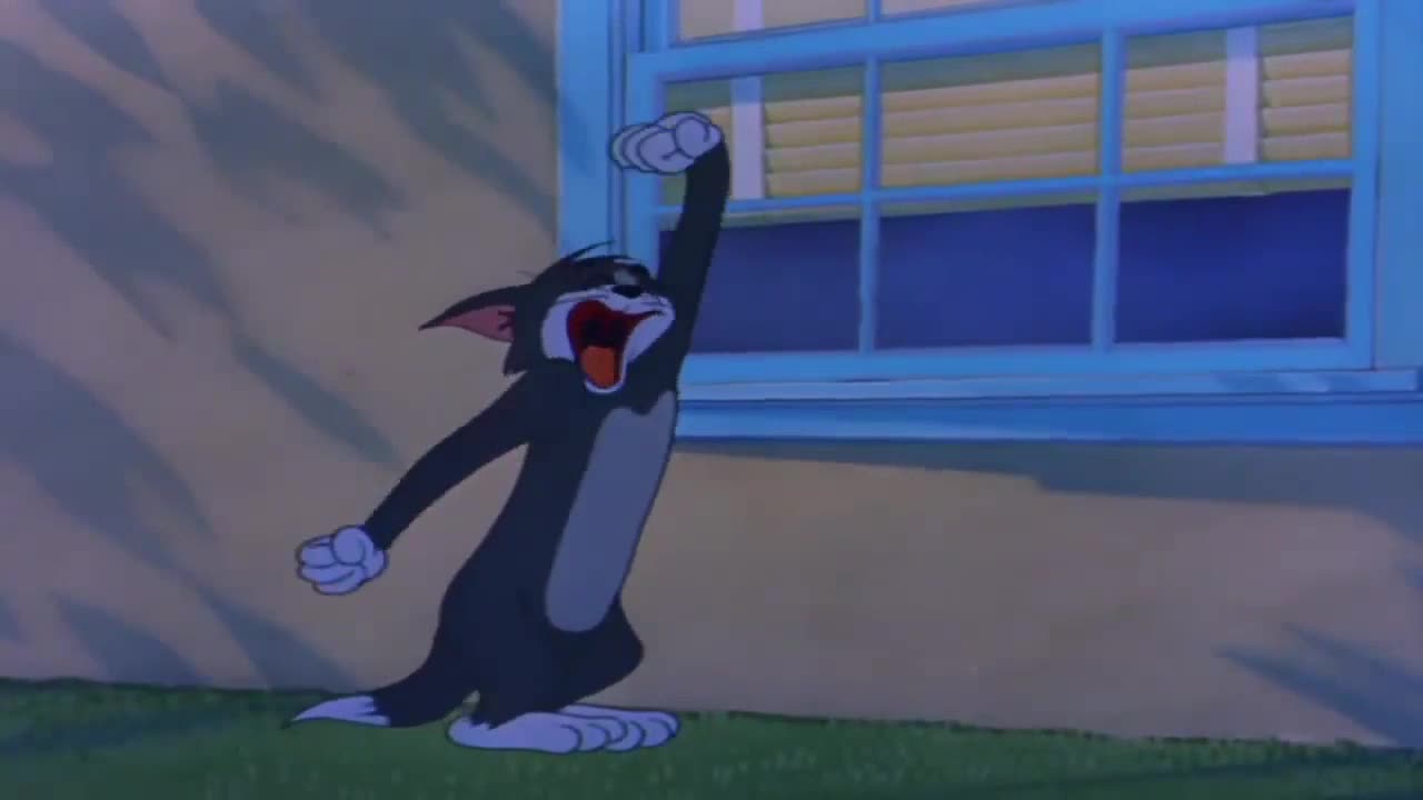 Tom and Jerry - Big Yawn | Download HD video clip on | Vlipsy