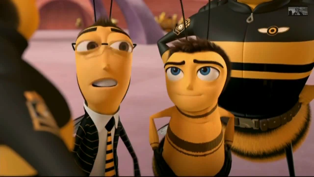 Bee Movie - Maybe I am | Download HD video clip on | Vlipsy