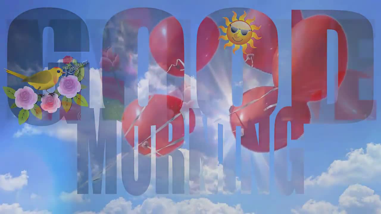 Kangaroo: Good Morning. Find clips on VLIPSY