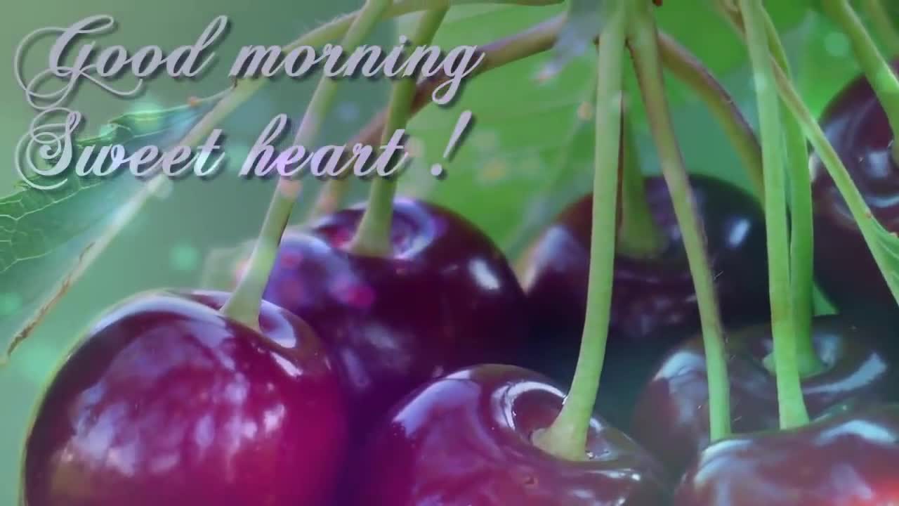 Kangaroo: Good Morning Sweetheart - Find clips on VLIPSY