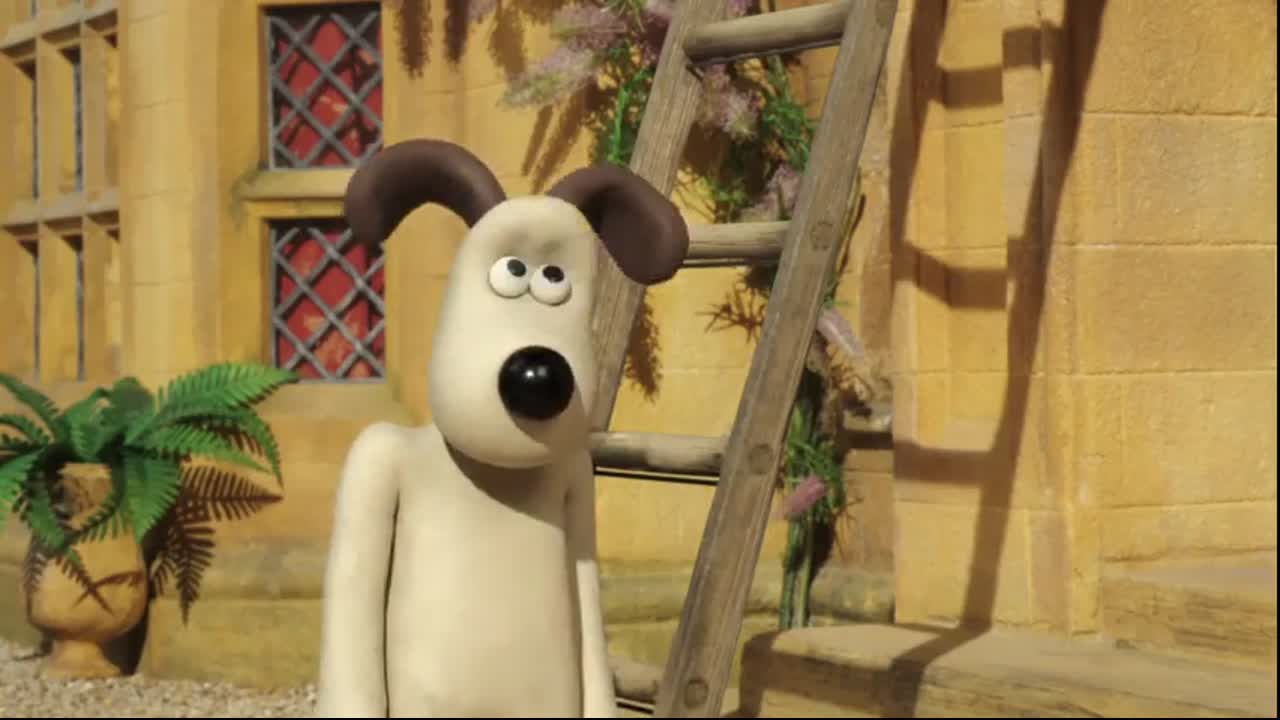 Wallace and Gromit - Roll eyes | Download HD video clip on | Vlipsy