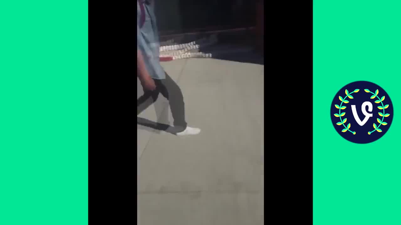 Vine: Damn Daniel. Find clips on VLIPSY