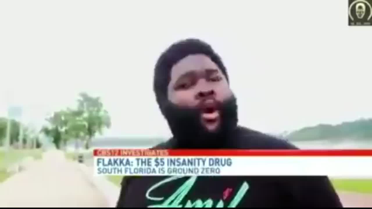 The Real Spark - Hold up. Wait a minute. Something ain't right | Download HD video clip on | Vlipsy