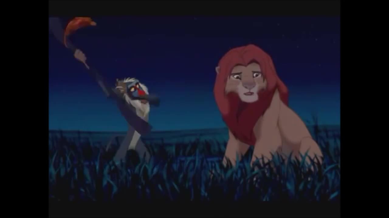 Lion King - Smack | Download HD video clip on | Vlipsy