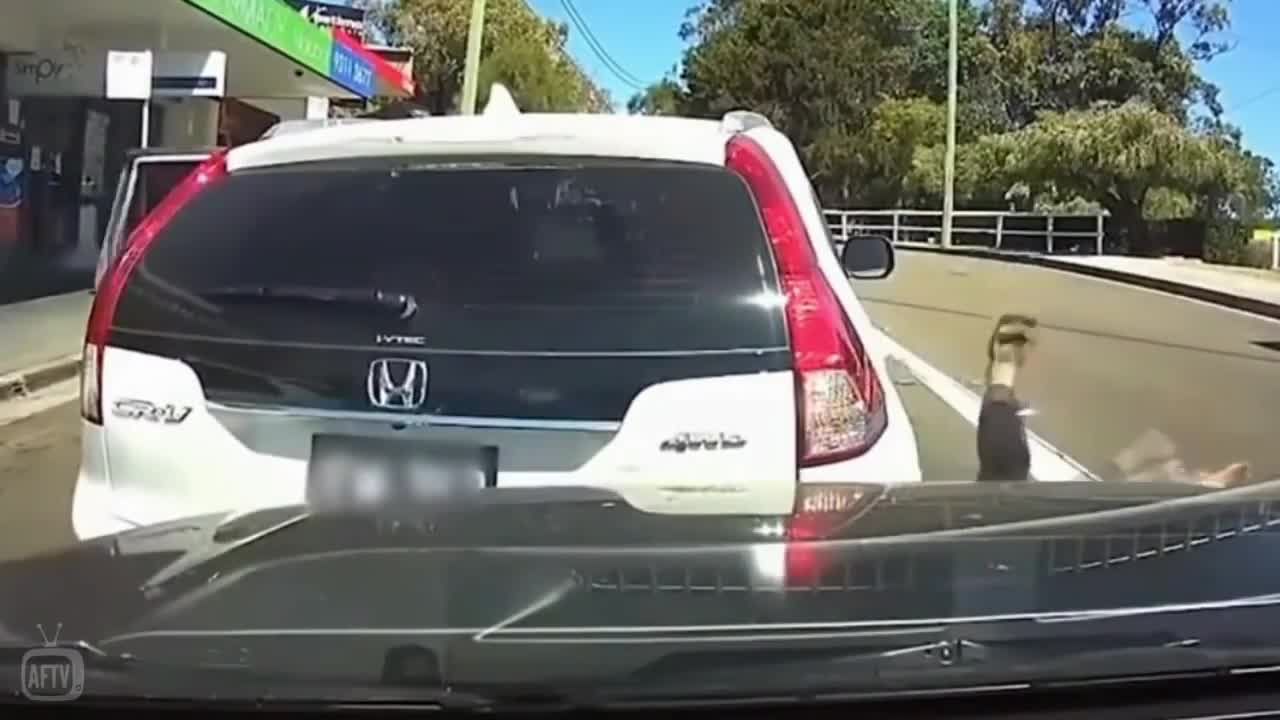 Ultimate Funny Car Wrecks: What Are You Doing? - Find clips on VLIPSY