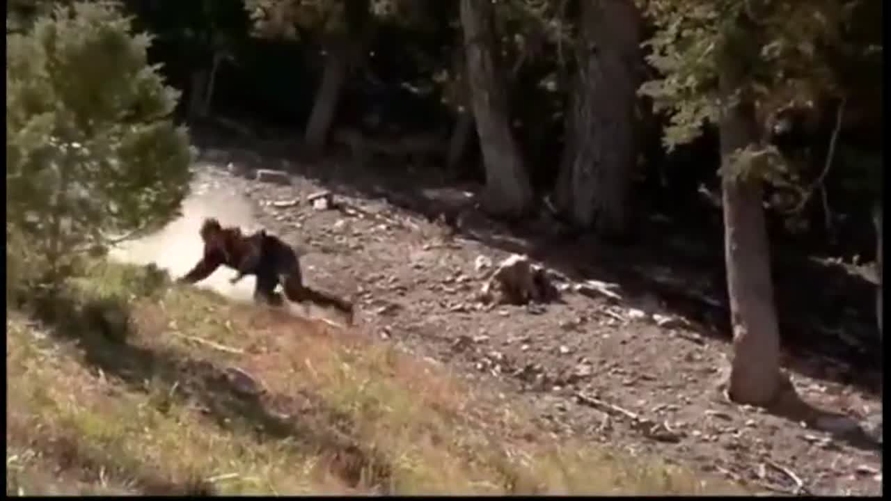 Black Sheep: Falling down the hill - Find clips on VLIPSY