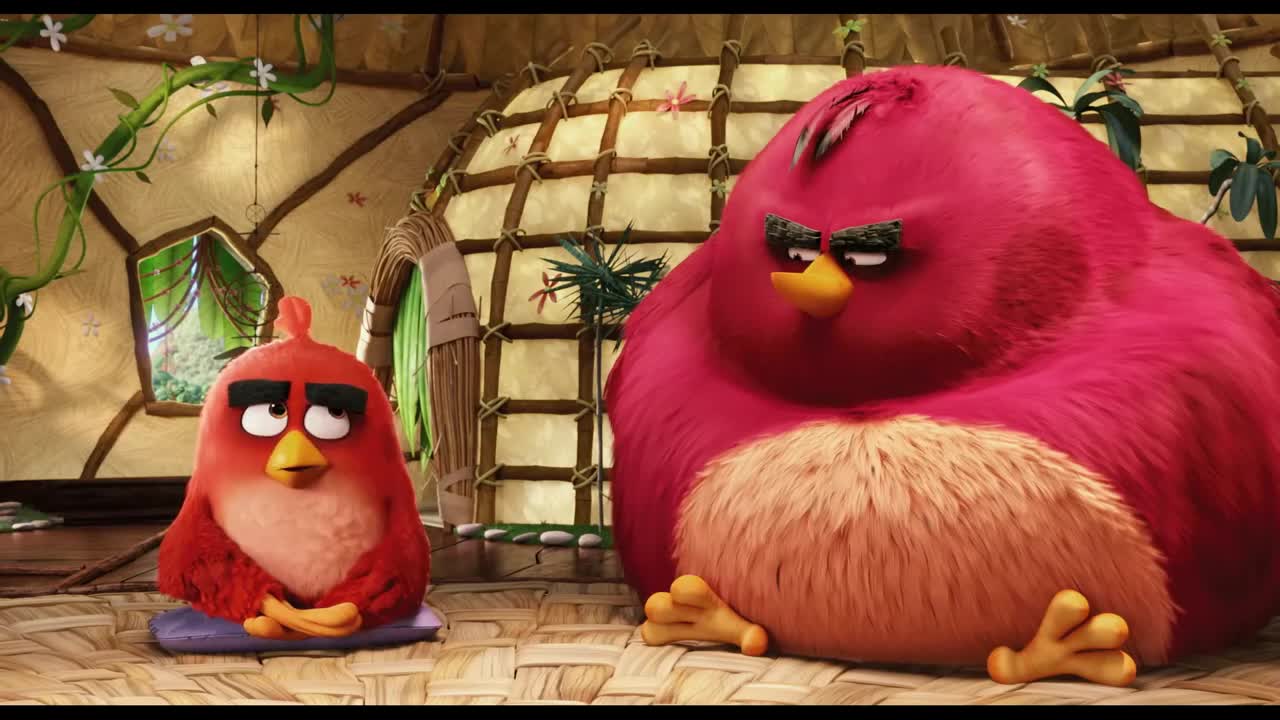 Angry Birds - Good Talk | Download HD video clip on | Vlipsy