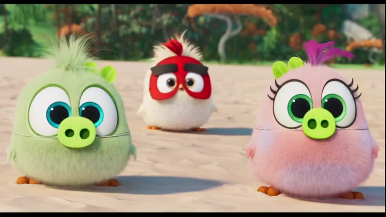 The Angry Birds Movie 2 - Uh oh | Download HD video clip on | Vlipsy