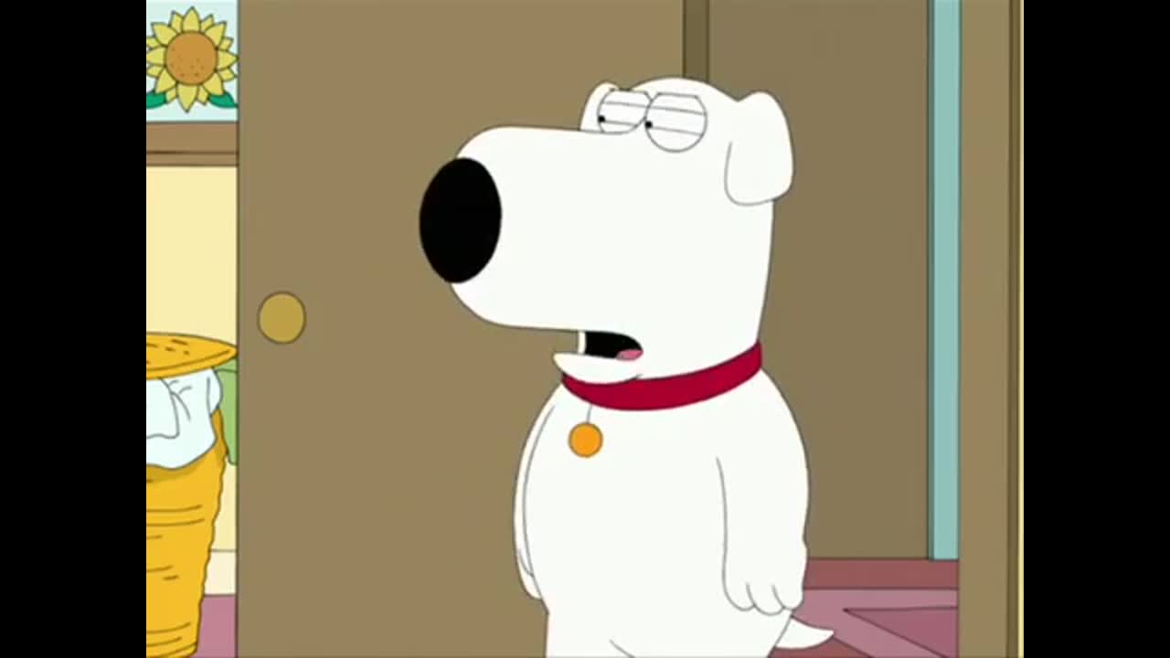 Family Guy: What the hell? - Find clips on VLIPSY