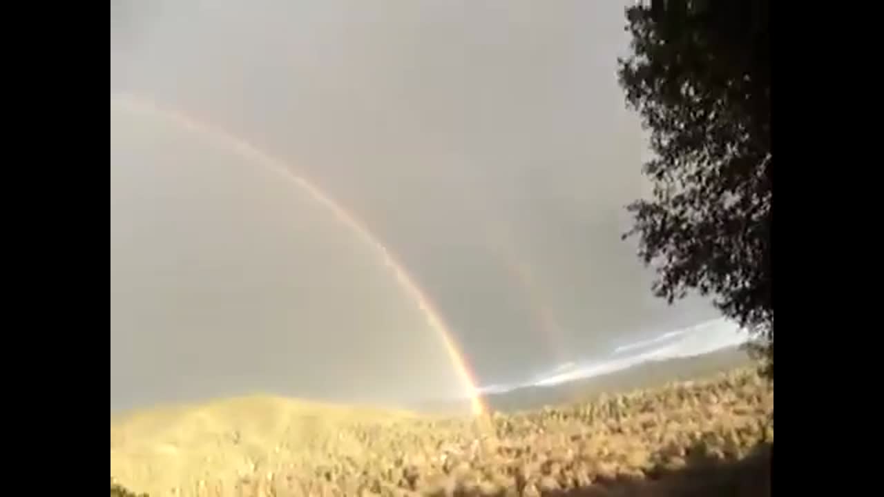 Double Rainbow Guy: Double Rainbow! - Find clips on VLIPSY
