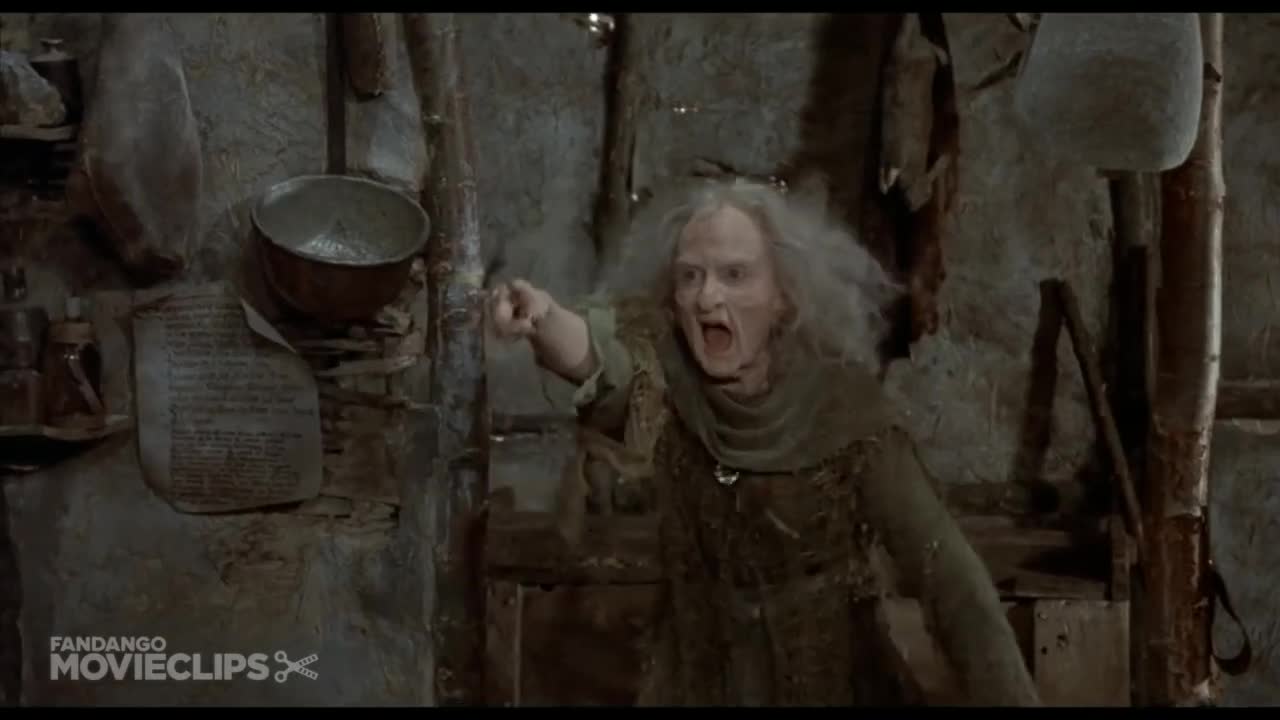 The Princess Bride - Liar! | Download HD video clip on | Vlipsy