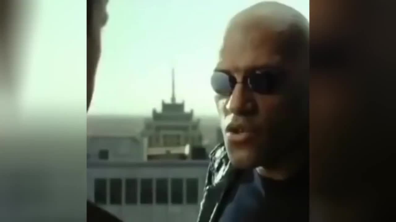 Vines - The Matrix: Free Your Mind - Find clips on VLIPSY