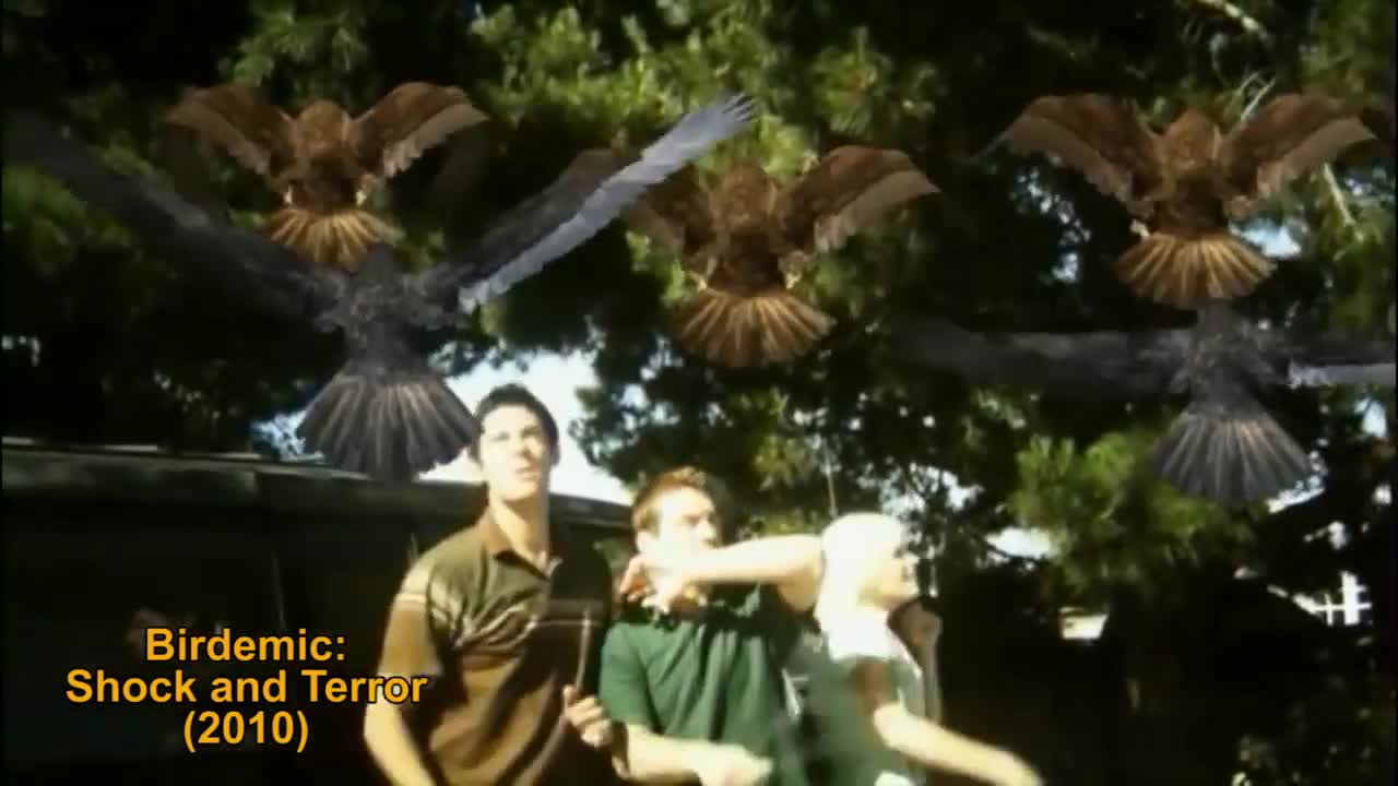 Birdemic: Shock and Terror: Killer birds - Find clips on VLIPSY