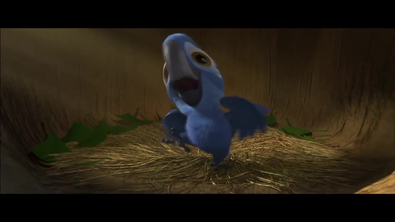 Rio: Good morning dance - Find clips on VLIPSY