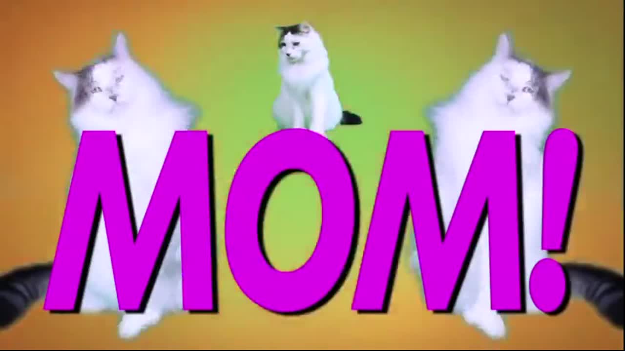 Cats: MOM! - Find clips on VLIPSY