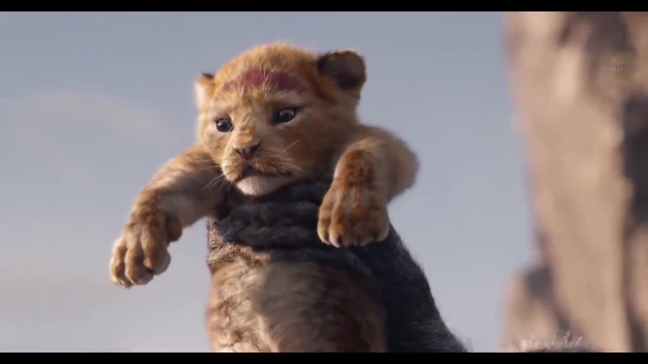 The Lion King - Rafiki Lifting Simba | Download HD video clip on | Vlipsy