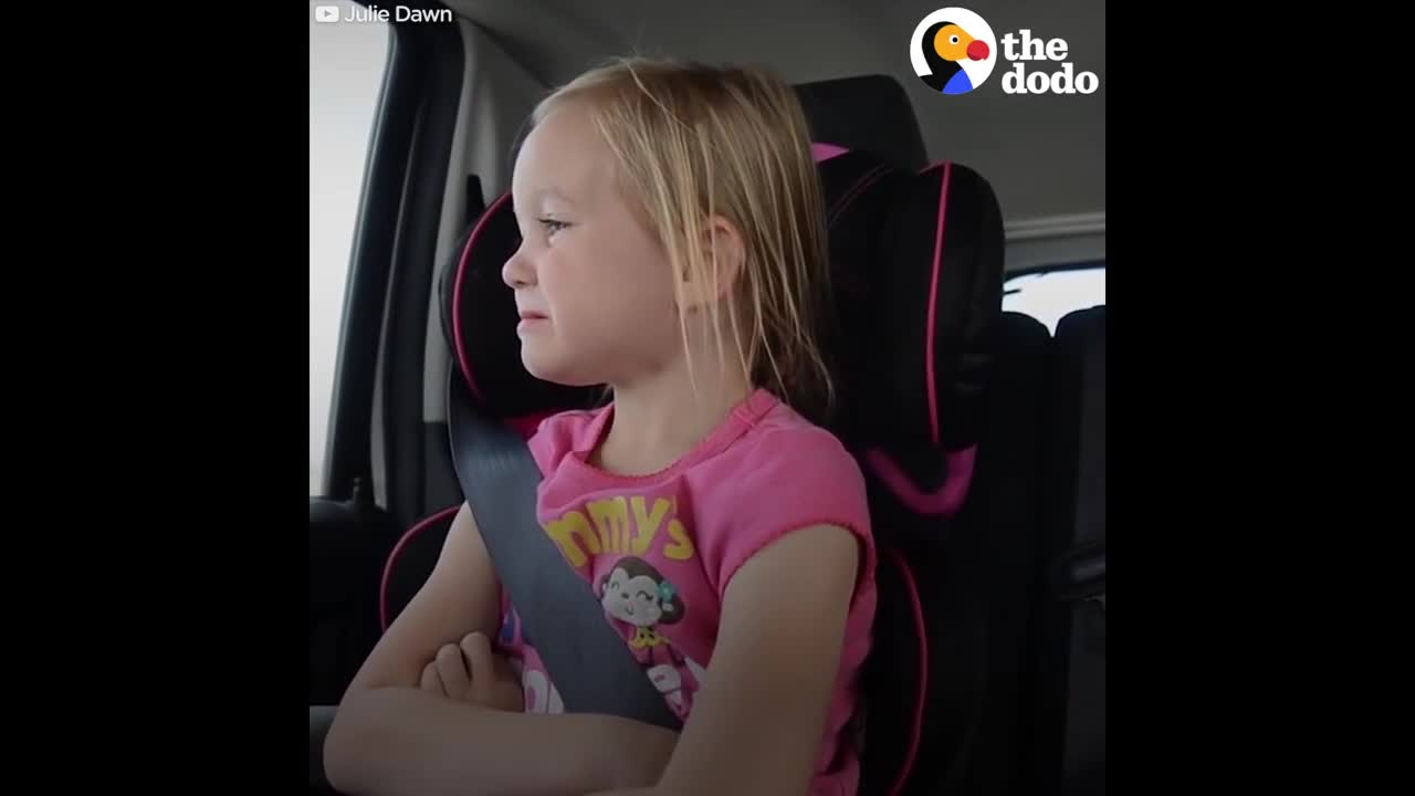 The Dodo: Crying - Find clips on VLIPSY