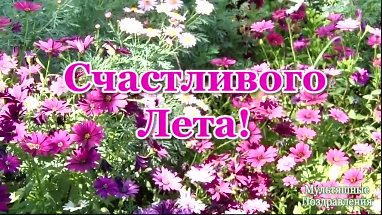 Niche Card: Здравствуй Лето!. Find clips on VLIPSY