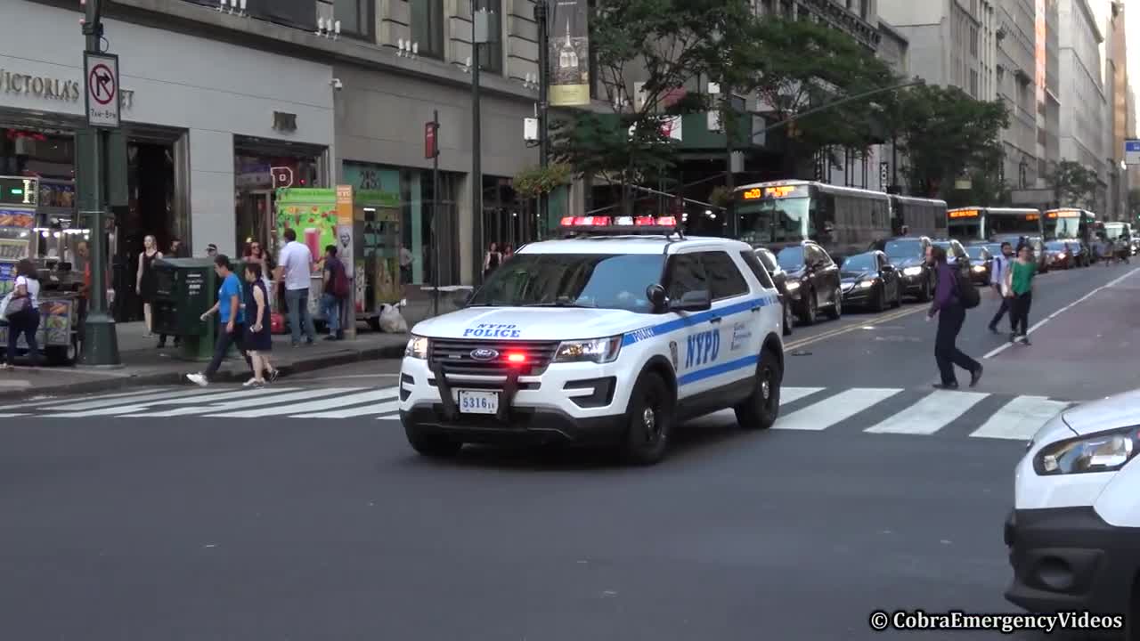 Police responding - BEST OF 2016 - Police | Download HD video clip on ...