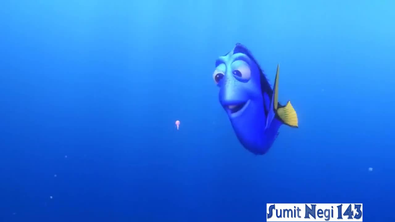 Finding Nemo: I shall call him Squishy. Find clips on VLIPSY