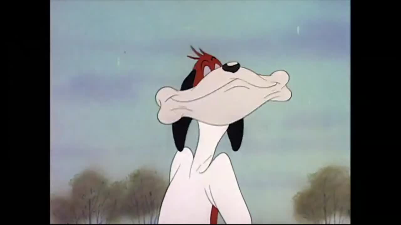 Droopy: Shakes head no - Find clips on VLIPSY