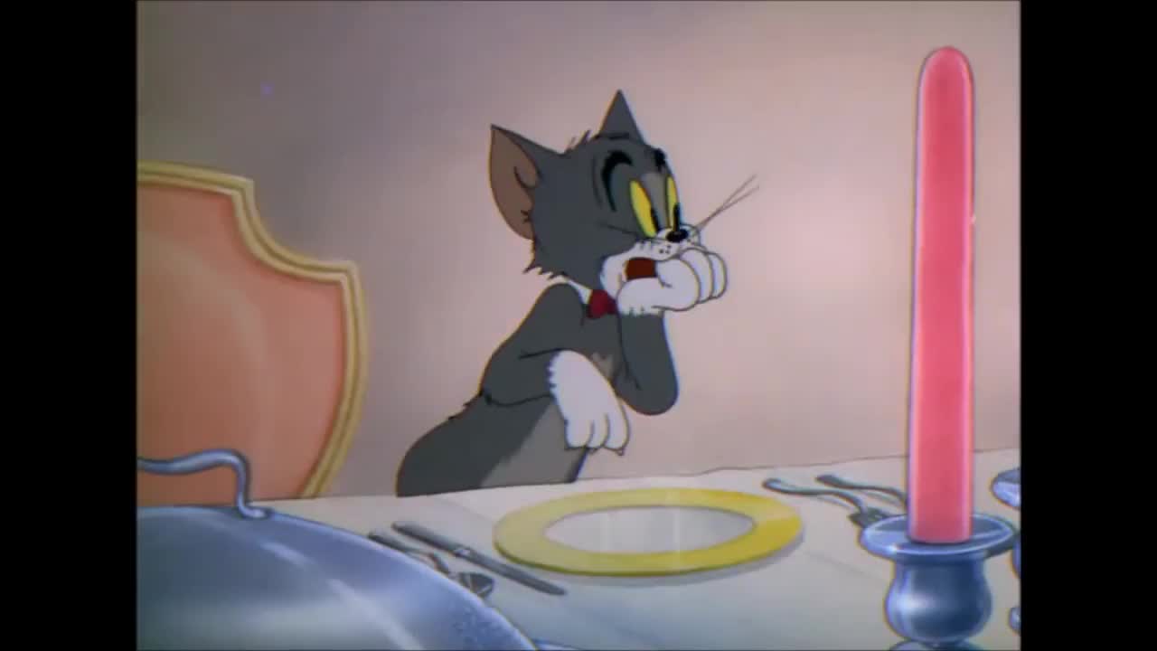 Tom and Jerry - Pie to the face | Download HD video clip on | Vlipsy