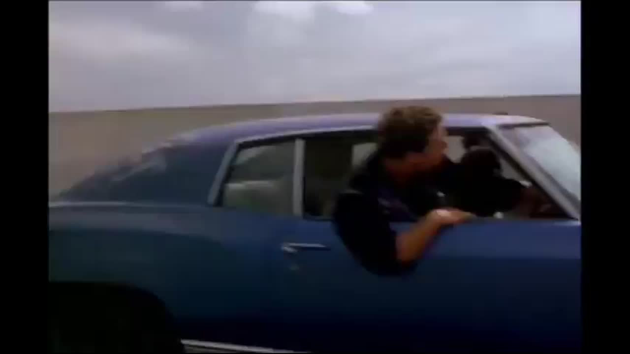 Ace Ventura: You're a weird guy, Ace - Find clips on VLIPSY