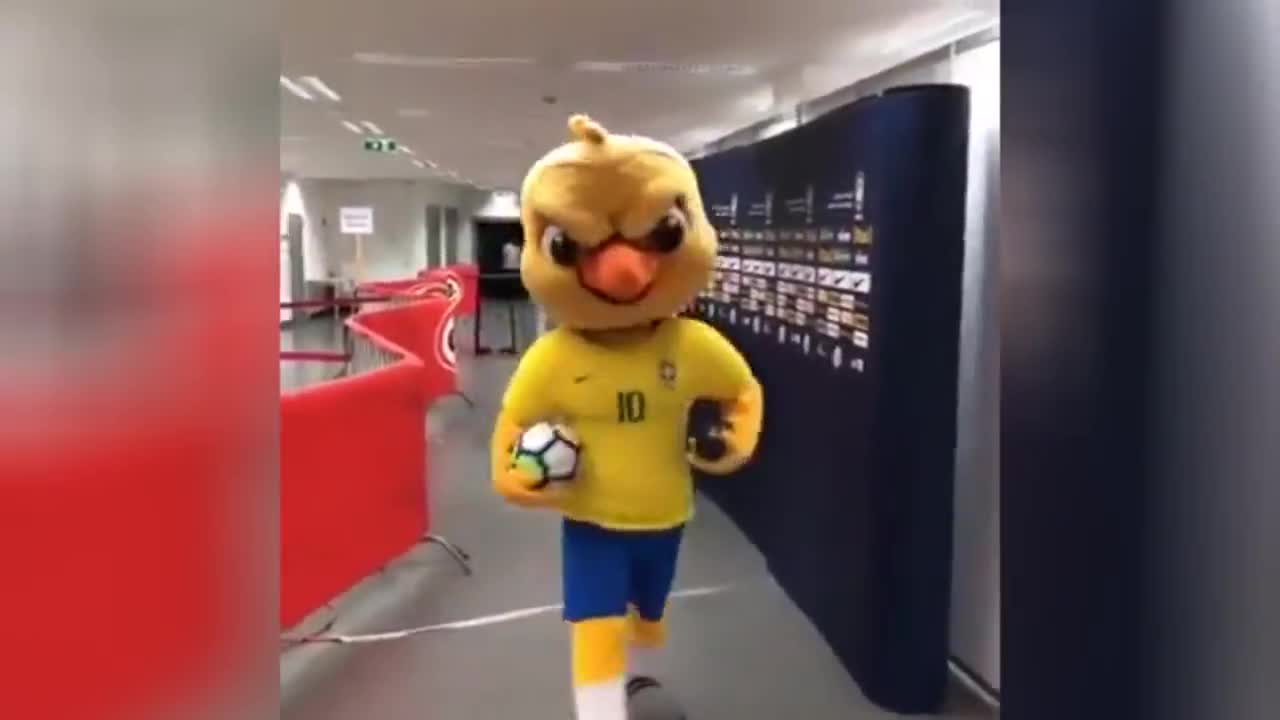 Canarinho Pistola: Canarinho Pistola - Find clips on VLIPSY