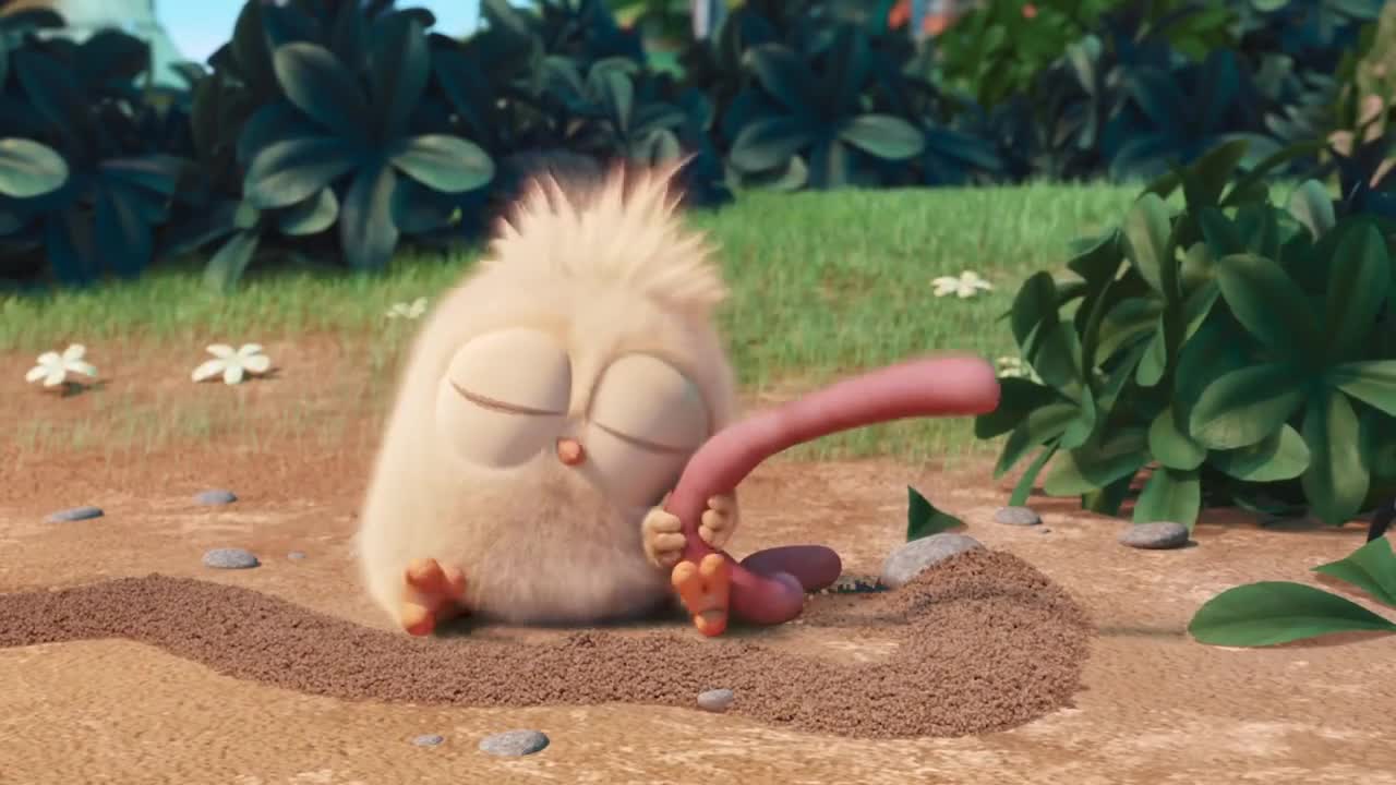 The Angry Birds - Hug | Download HD video clip on | Vlipsy