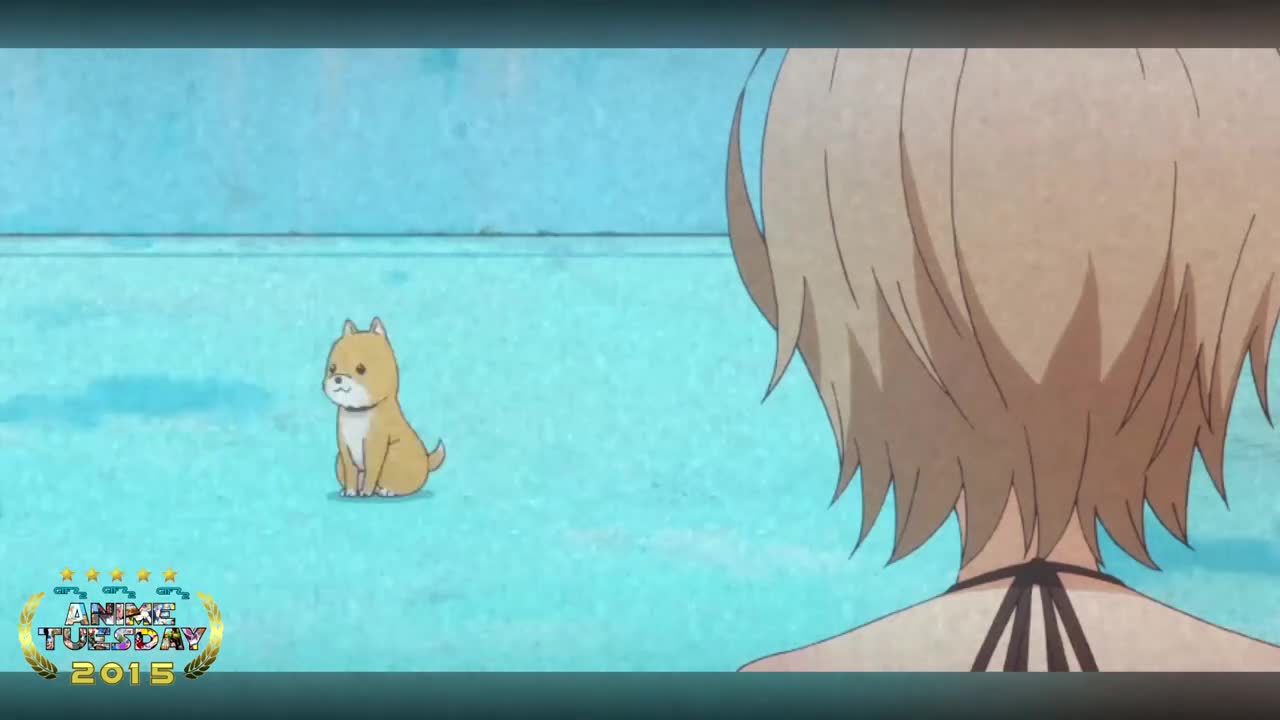 GIF with sound 2: Super Cute Ice Dog. Find clips on VLIPSY