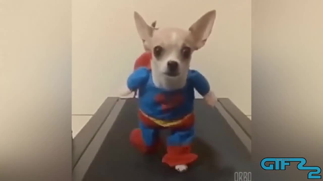 GIF with sound 2 - Superman is coming | Download HD video clip on | Vlipsy