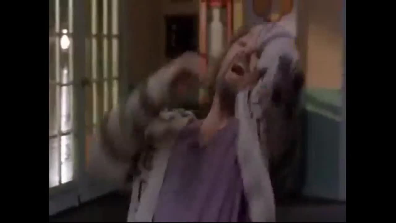 The Big Lebowski: FASCIST - Find clips on VLIPSY