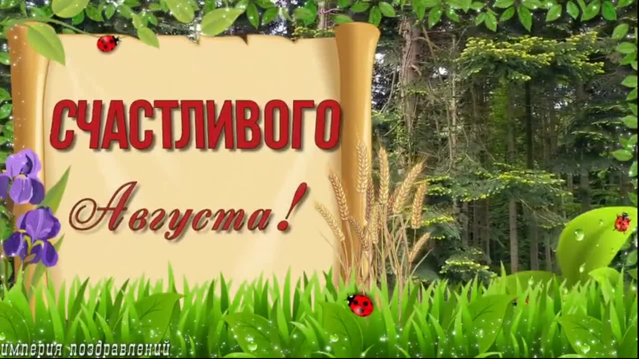 Niche Cards: Поздравляю с началом августа!. Find clips on VLIPSY