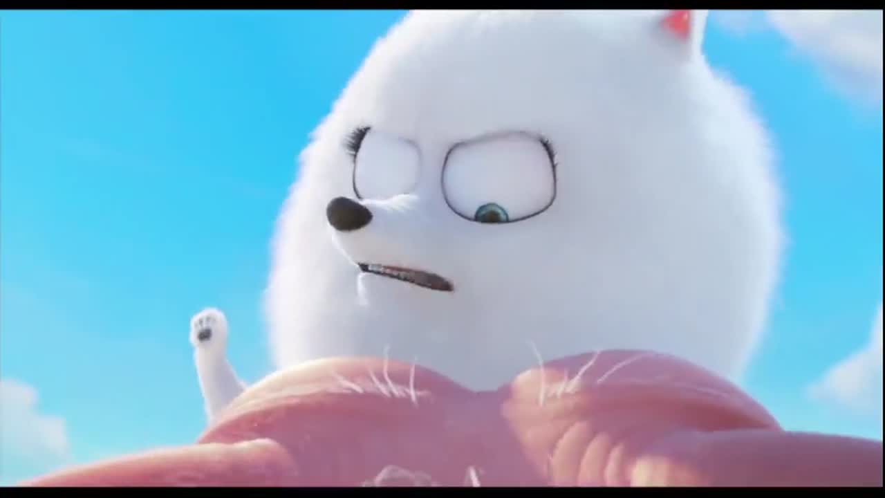 The Secret Life of Pets - Gidget Slapping a Cat (Video Clip) | Download ...