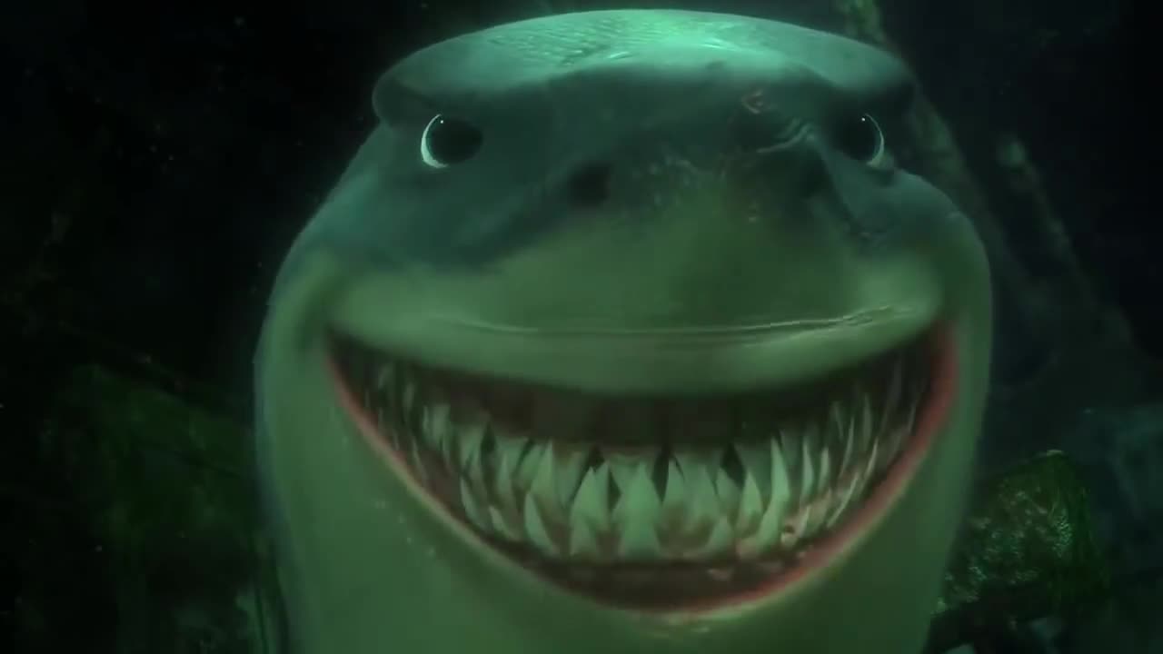 Finding Nemo - Ooh, that's good | Download HD video clip on | Vlipsy