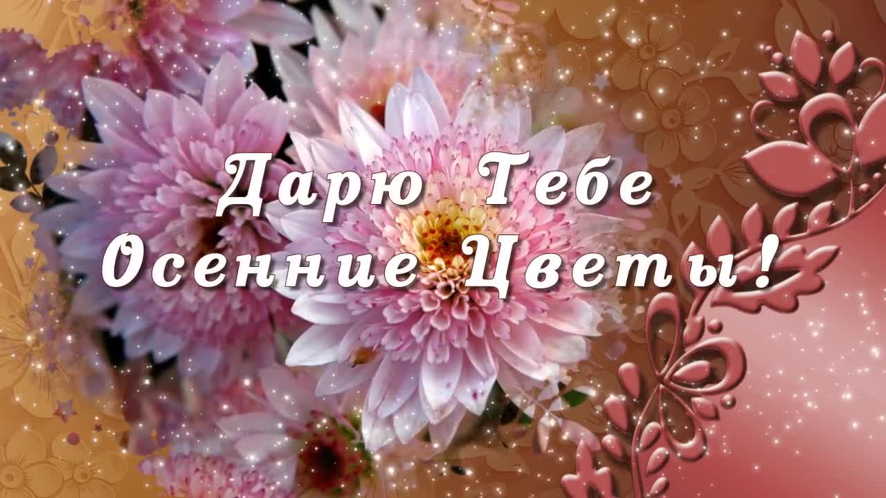 Niche Cards - Дарю Тебе Осенние Цветы! | Download HD video clip on | Vlipsy