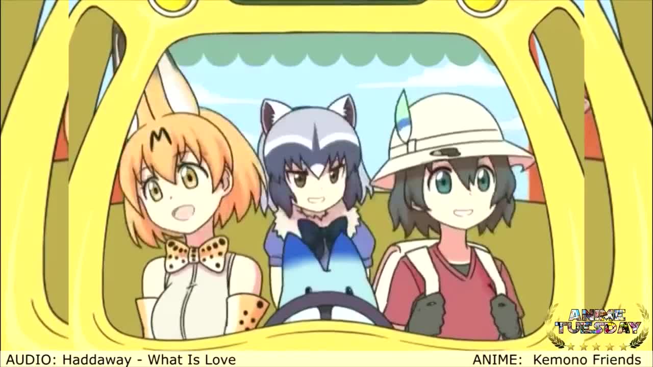 GIF with sound 2: This Is My Jam. Find clips on VLIPSY