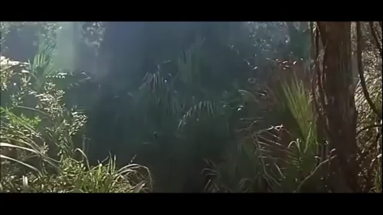 Forrest Gump - Jumped up and bit me | Download HD video clip on | Vlipsy