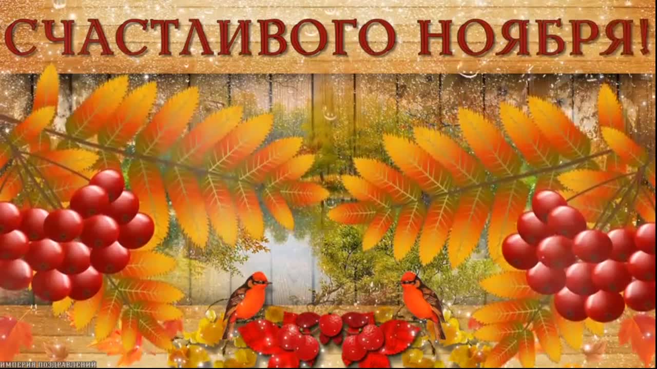 Niche Cards: Желаю счастливого Ноября!. Find clips on VLIPSY