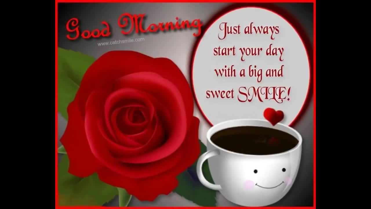 Whatsapp - Good Morning | Download HD video clip on | Vlipsy