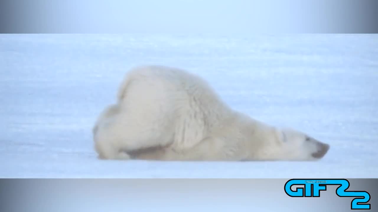 GIF with sound 2: Just Walking Here - Find clips on VLIPSY