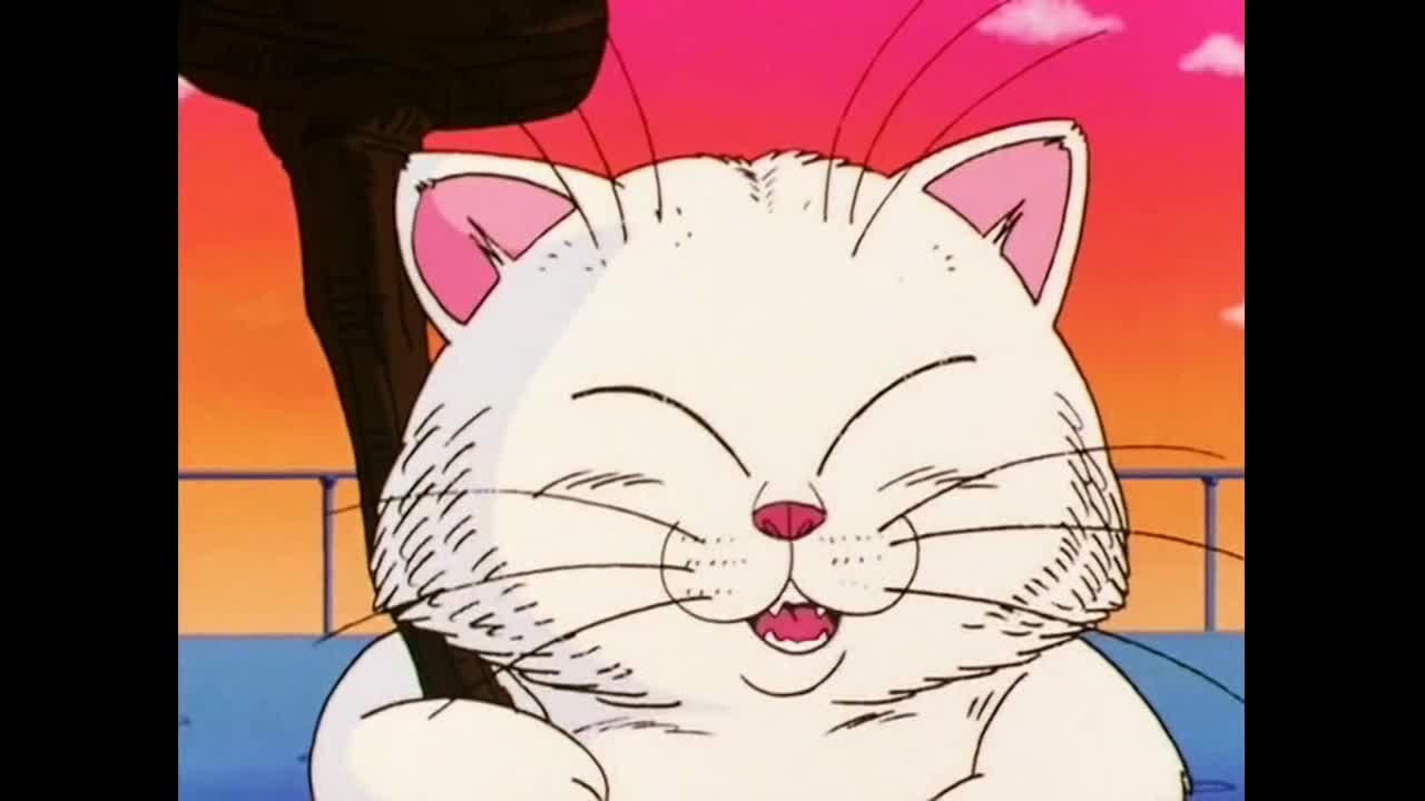 Dragon Ball Z Abridged - Probably Fat Kitties | Download HD video clip ...