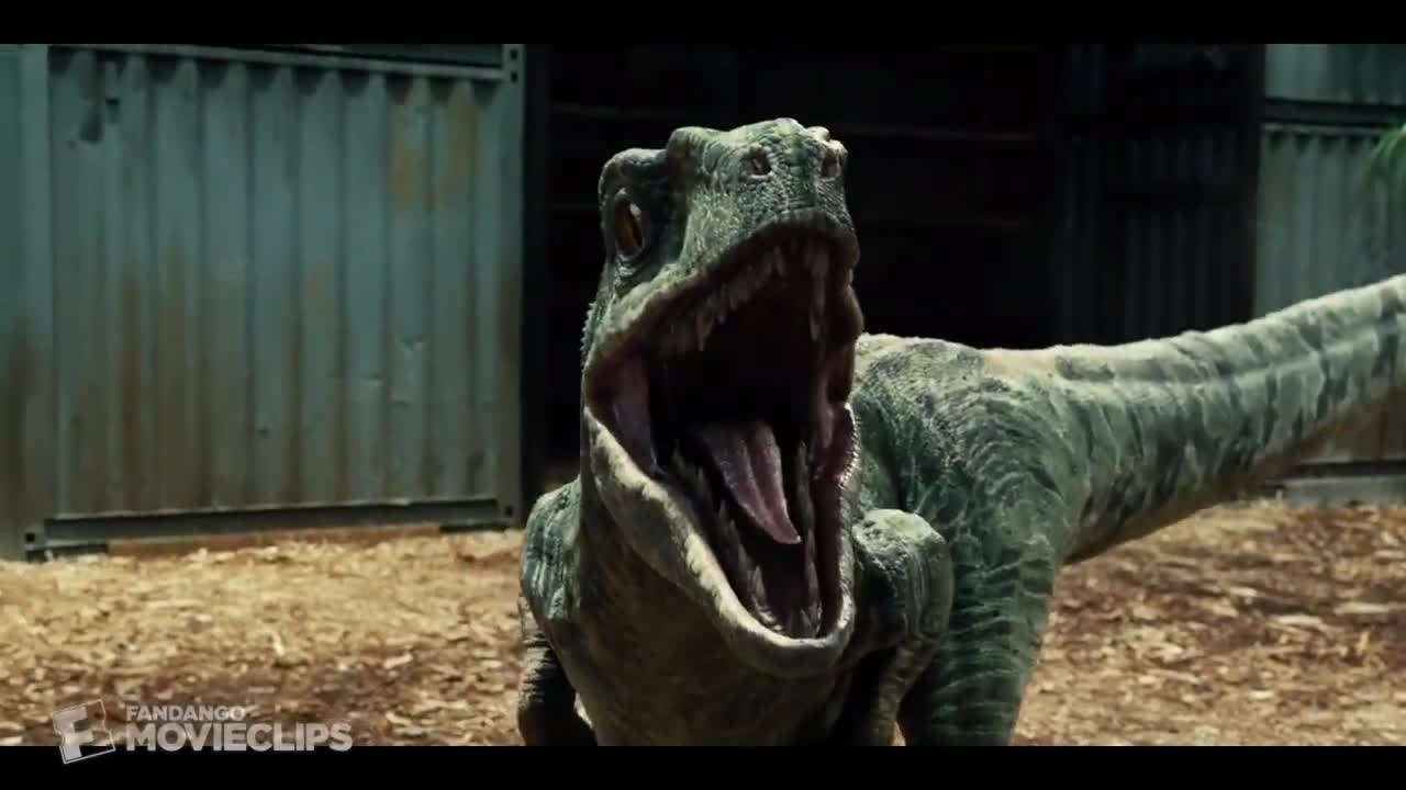 Jurassic World - Taming the Raptors | Download HD video clip on | Vlipsy