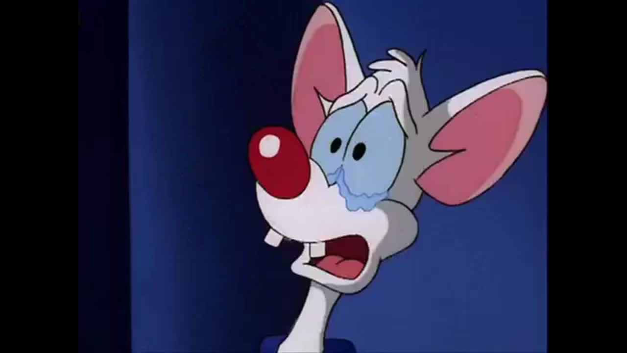 Pinky and the Brain - Pinky Crying | Download HD video clip on | Vlipsy