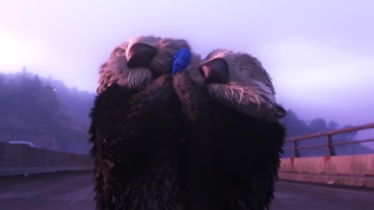 Finding Dory: Cuddle Party - Find clips on VLIPSY