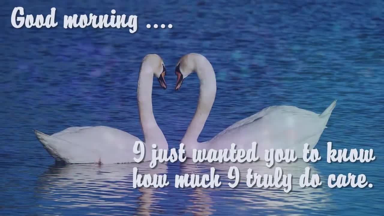 Kangaroo: Good Morning - Find clips on VLIPSY